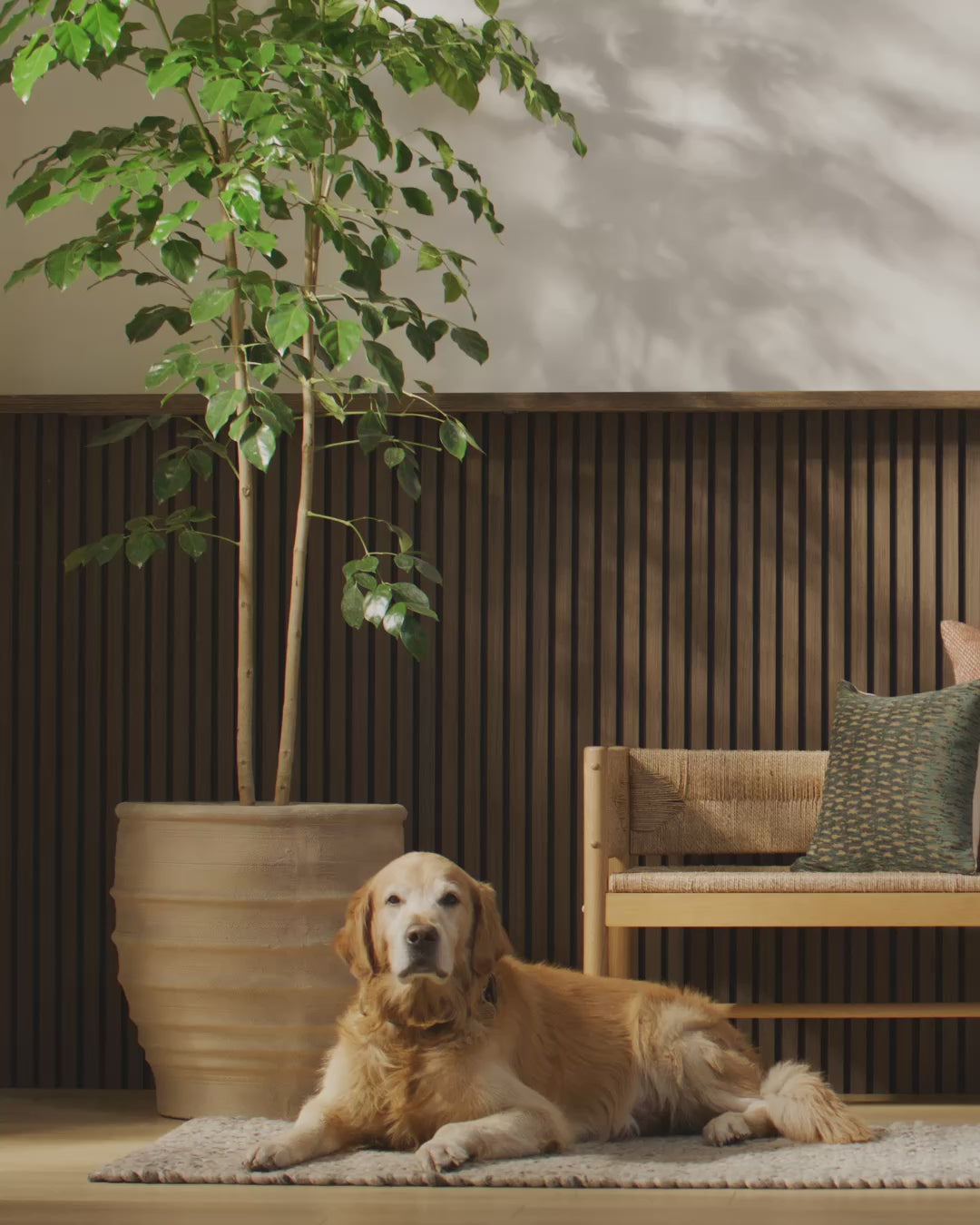 Smoked Oak Acoustic Wall Panels | Drew & Jonathan Home™ x WVH®